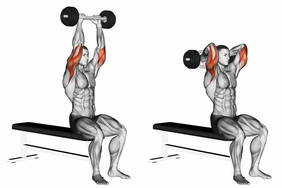 Top exercitii pentru triceps cu echipamente Gorilla Sports